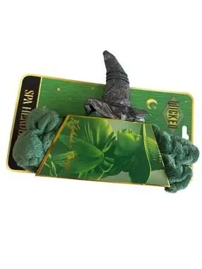 Taste Beauty | Accessories | New Wicked Movie Elphaba Thropp Girls ...